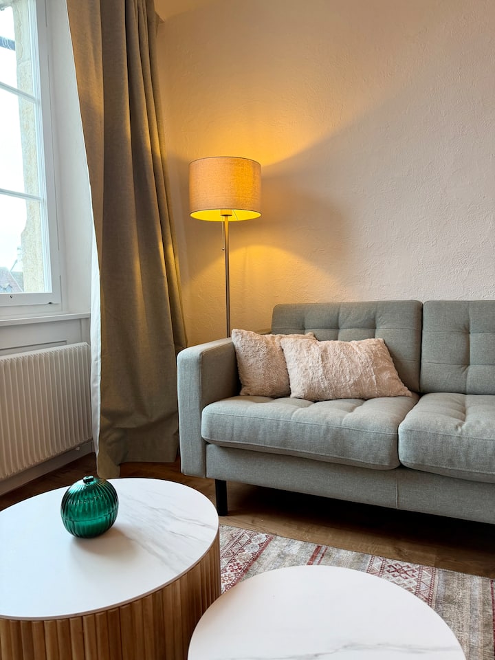 Charmantes Studio An Der Aare In Solothurn - Solothurn