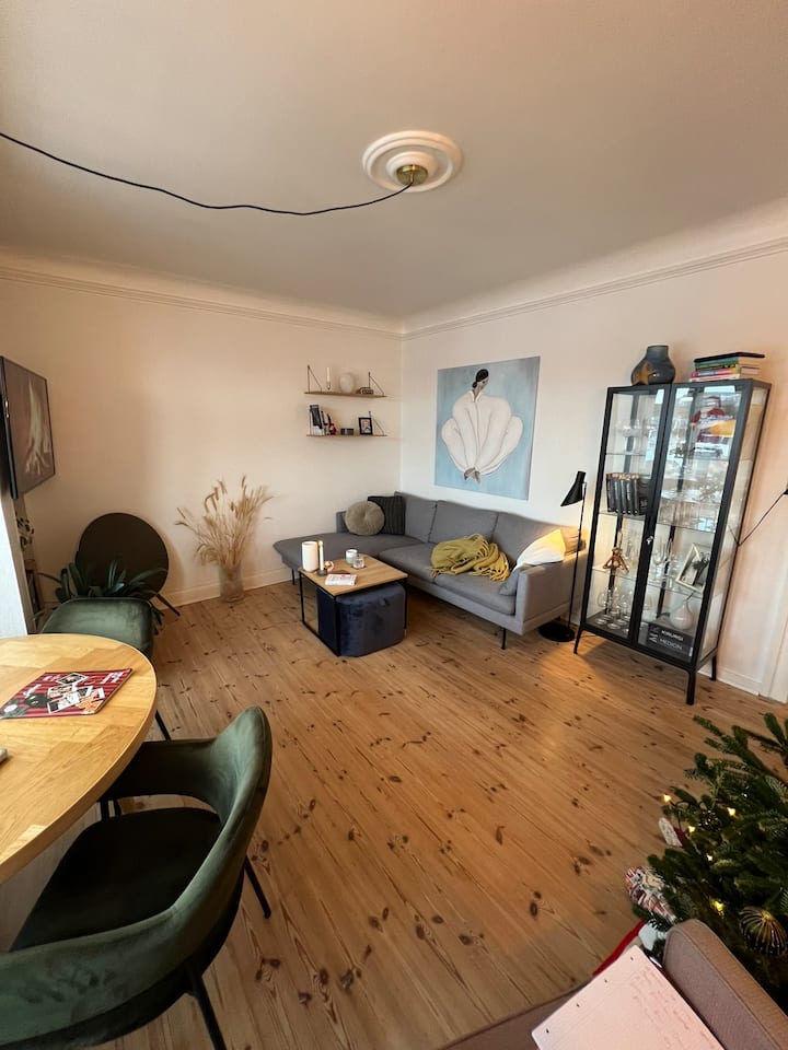 Lys Lejlighed I Centrum Af åRhus Med Skøn Udsigt - Aarhus