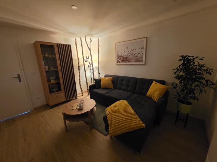 Fewo In Schönwald Ofr. Natur & Porzellan 2-3 Gäste - Selb