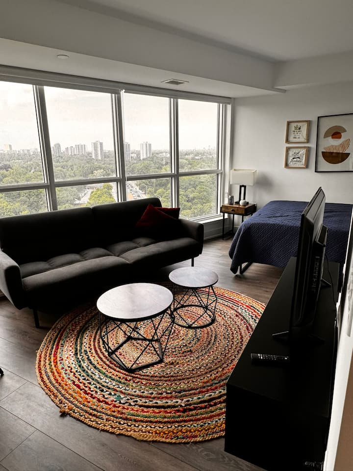 Modern Bachelor Pad Bloor - Toronto