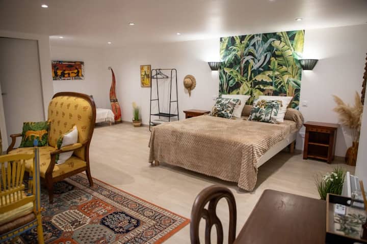 Chambre 40m2 Avec Cour Patio Privative. - Béziers