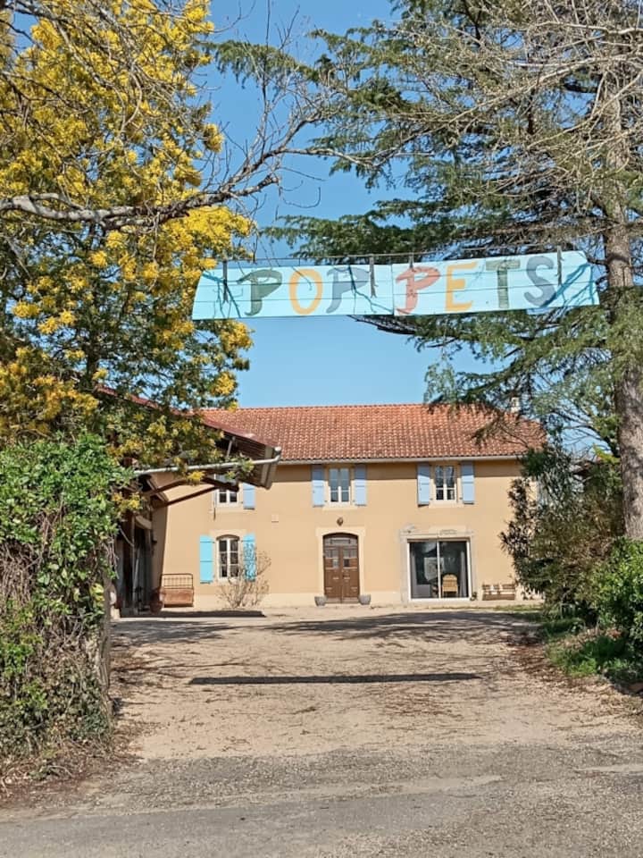 Chambres D'hôtes - Marciac