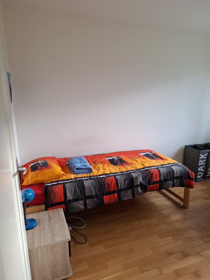 Super Chambre En Plein Centre - Lausanne