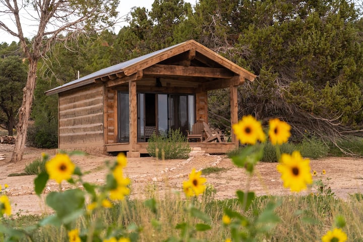 Lodge 224 - Zion National Park