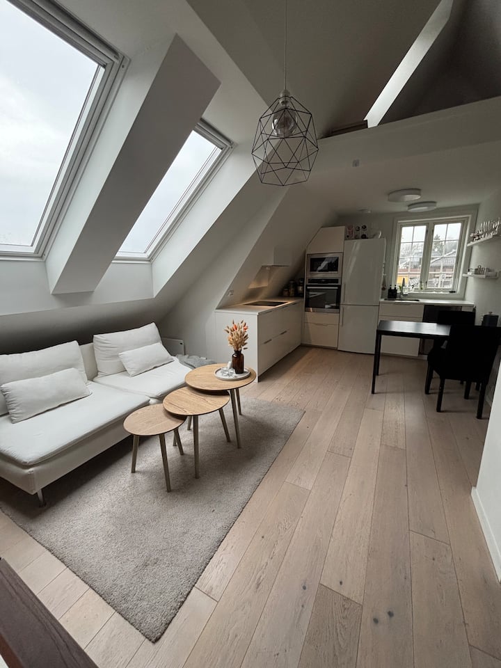 Top-floor Apartment • City Centre - Stavanger
