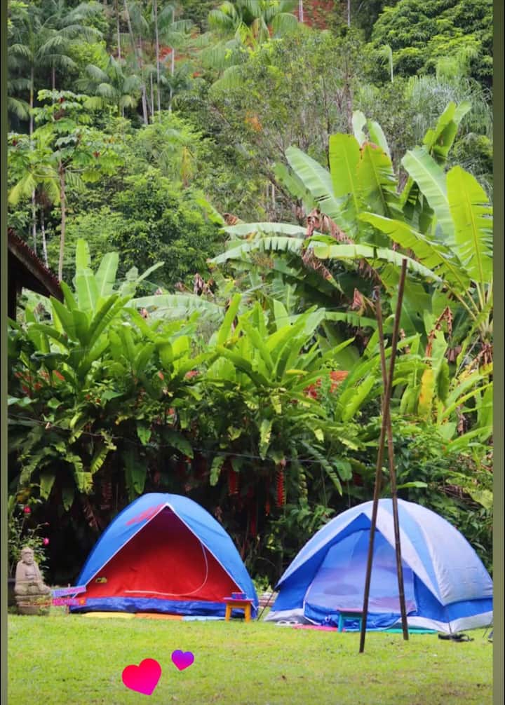 Camping Com Casinha Na áRvore E Rampa De Skate 2 - São Sebastião