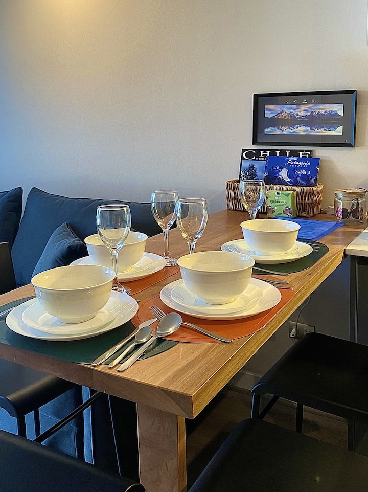 Urban Lodge: Barrio Italia, Aire Ac & Metro - Santiago del Chile