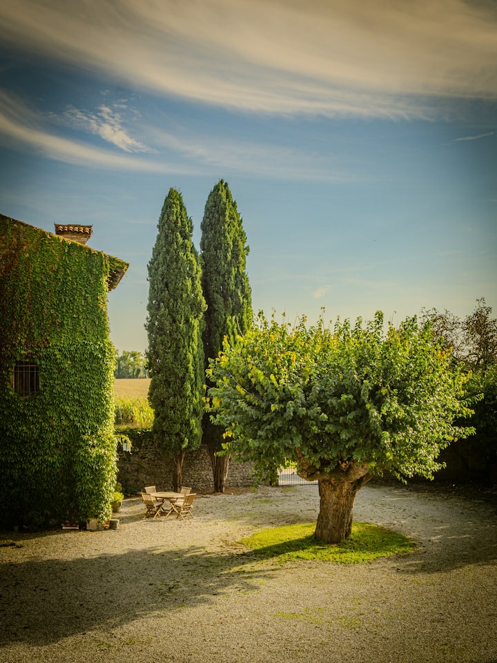 Medieval Tower In Colli Orientali Del Friuli - Údine