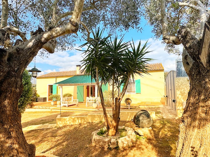 Vida Lentas - Romantico Stazzo Gallurese - Monti