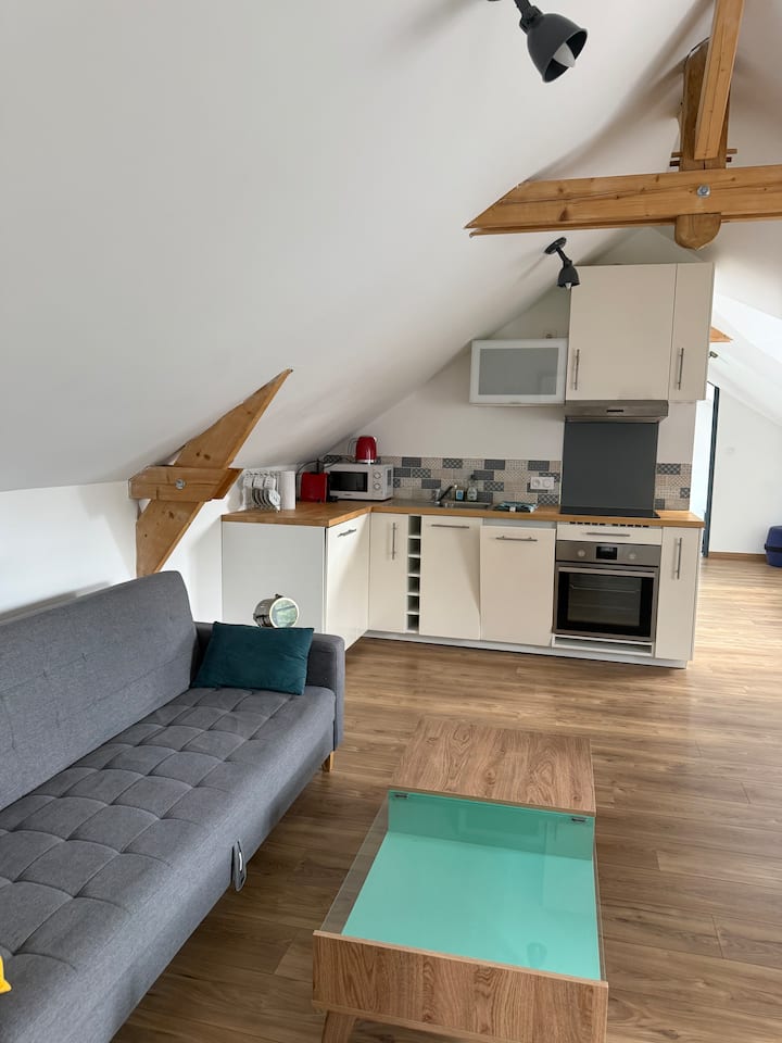 Appartement Cosy Au Coeur Du Port De Saint Goustan - Auray