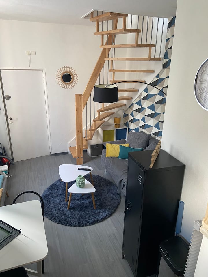 Appartement De Caractère Pour 4 Personnes Limoges - リモージュ