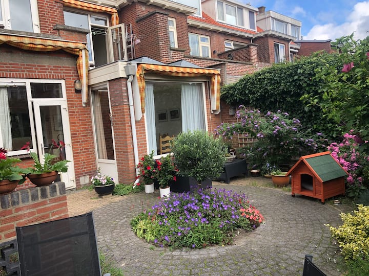 Dunes Side - The Hague