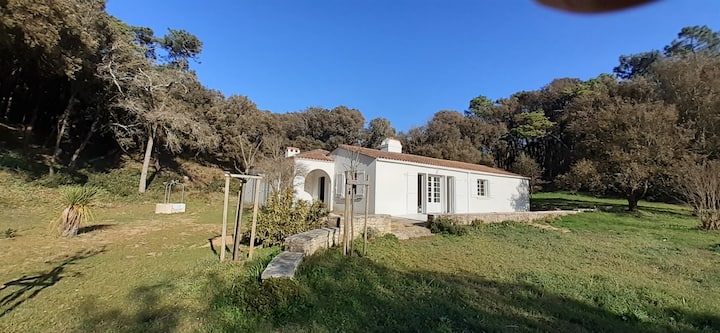 Chambre D'hôte 100m De La Plage, Lieu Exceptionnel - Longeville-sur-Mer