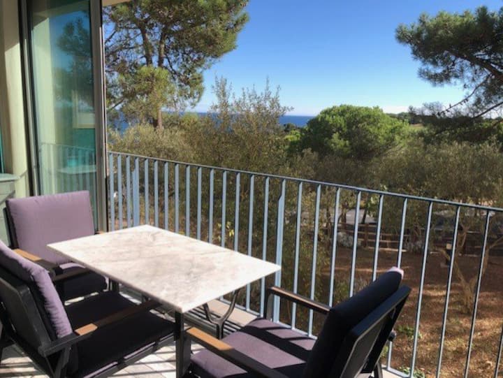 Appart 2 Pièces 4 Couchages Banyuls Sur Mer - Banyuls-sur-Mer