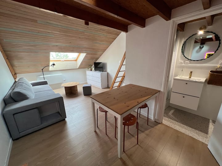 Le Nid Wilson - T1 Bis Accueillant Sous Les Toits - Dijon