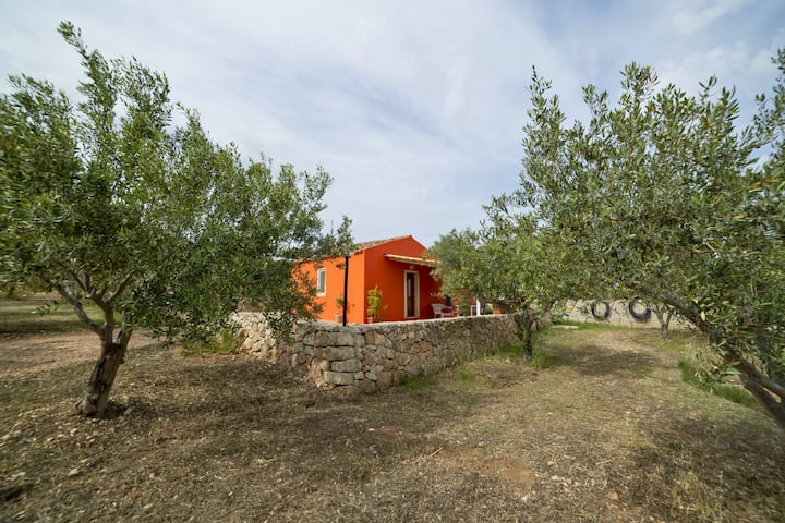 [Domus Aurea - Ispica] Casetta Tra Gli Ulivi - Pozzallo