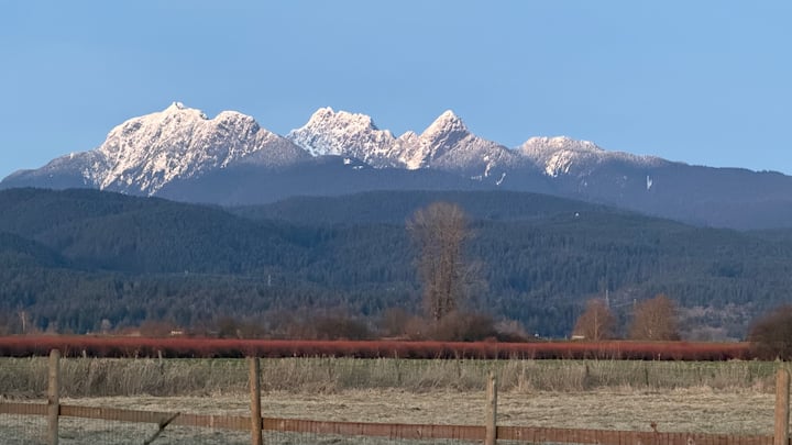 Meadow View Vintage Camper - Maple Ridge