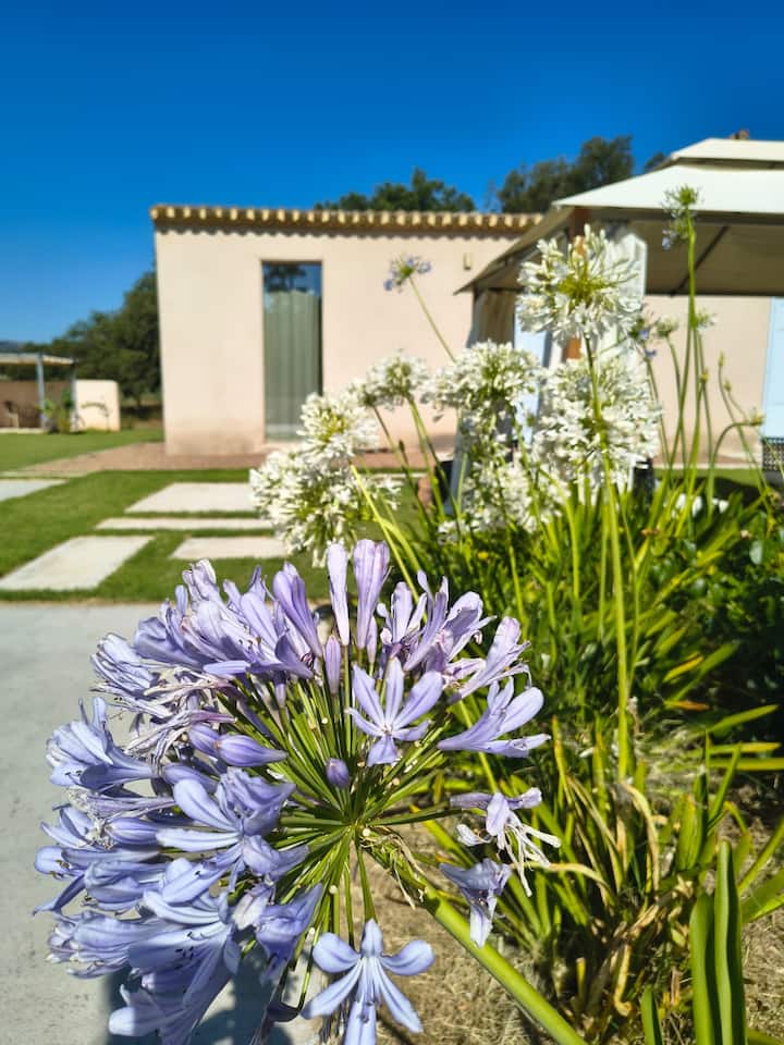 "Nature's Pool Bilocale" - Bari Sardo