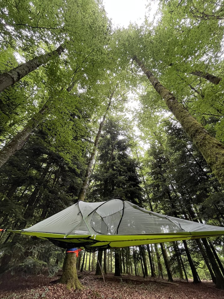 Tente Suspendue Dans Les Bois Proche Du Lac - Neuvic