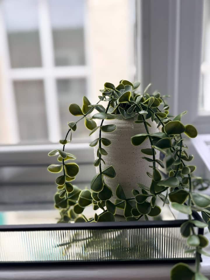 Owl’s Nest On Fishers Street - Carlisle