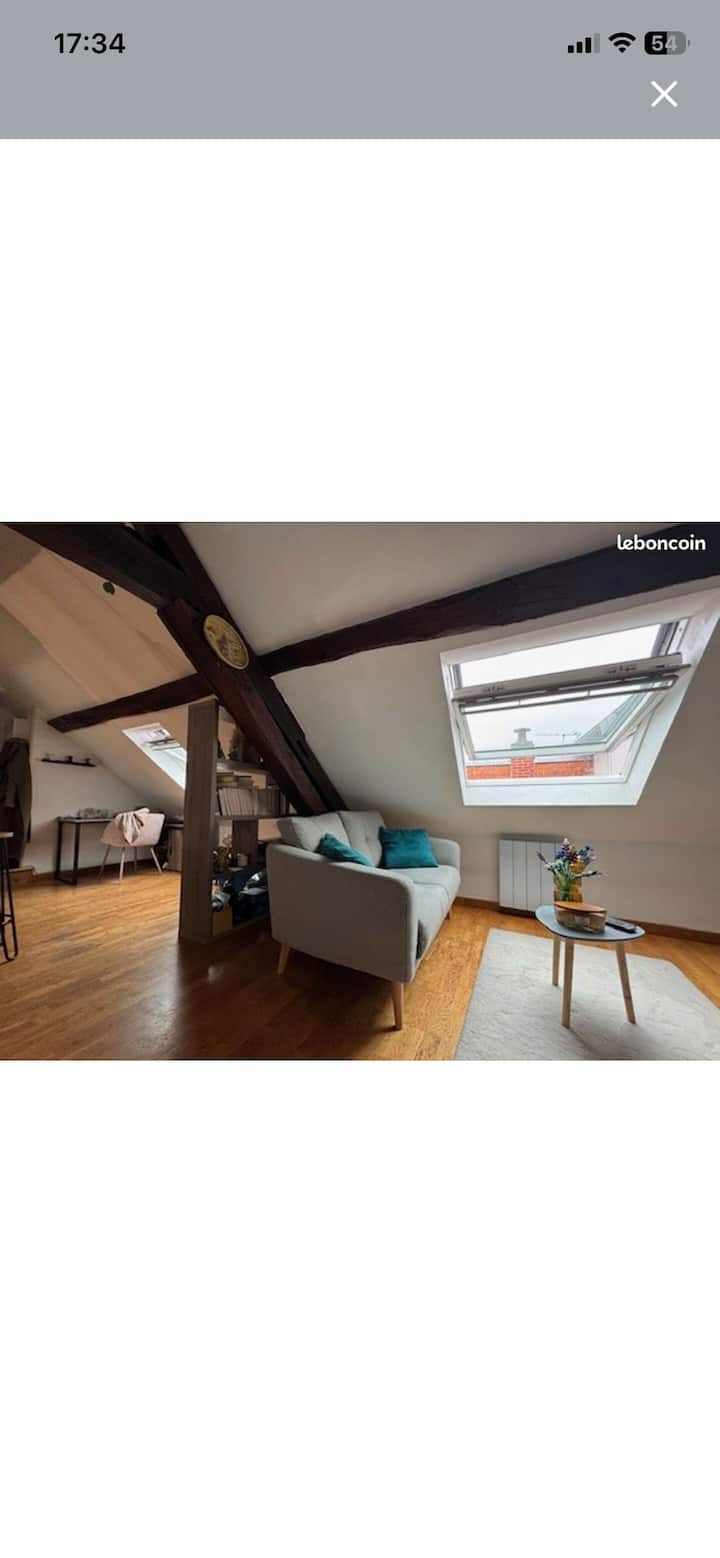 Studio Cosy Tout éQuipé - Saran