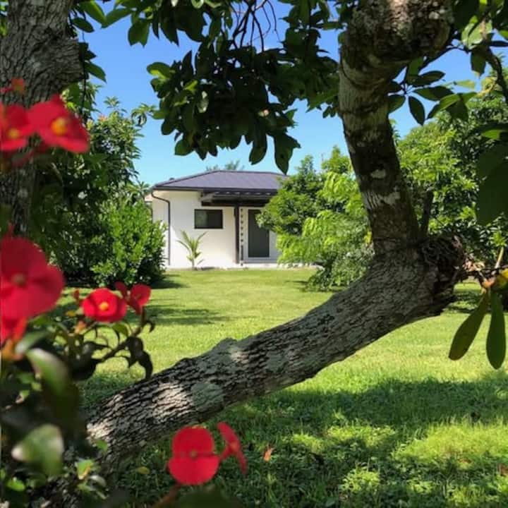 Villa Tula Lush Garden Villa Tucked Away In Nature - The Bahamas