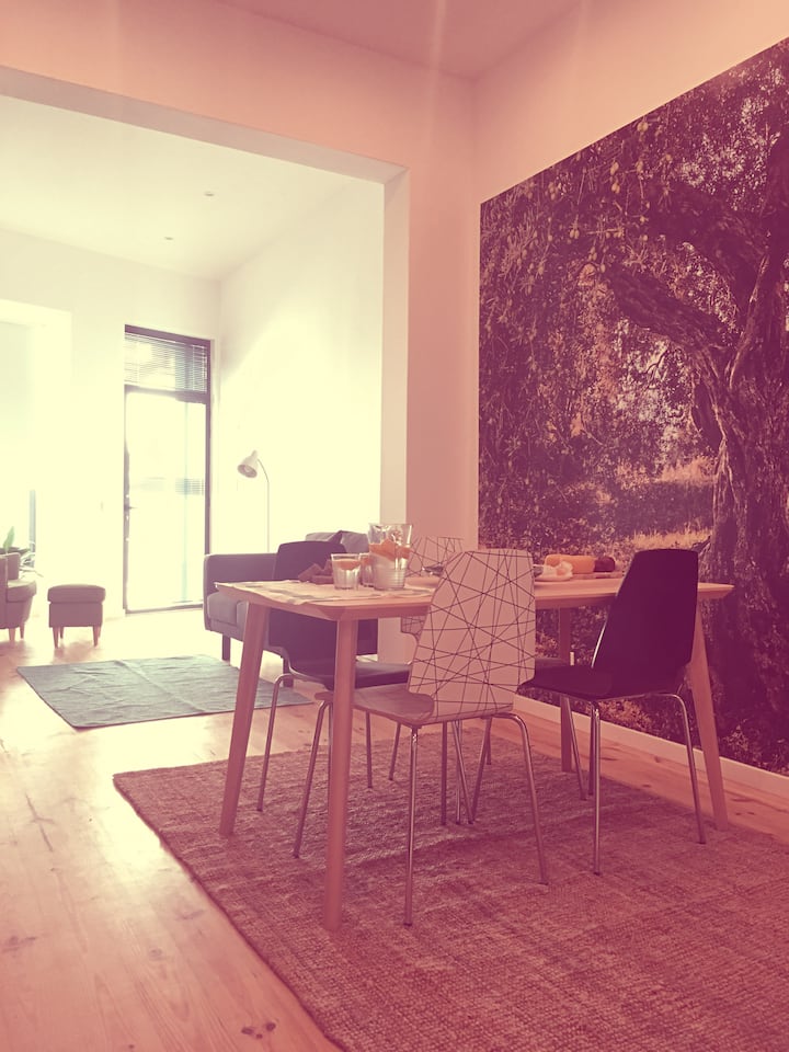 Casa Dos Pátios Em Pleno Centro De Aveiro - Aveiro