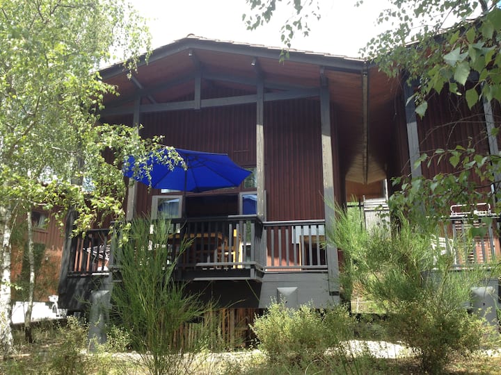 Chalet Dans Les Pins - Carcans