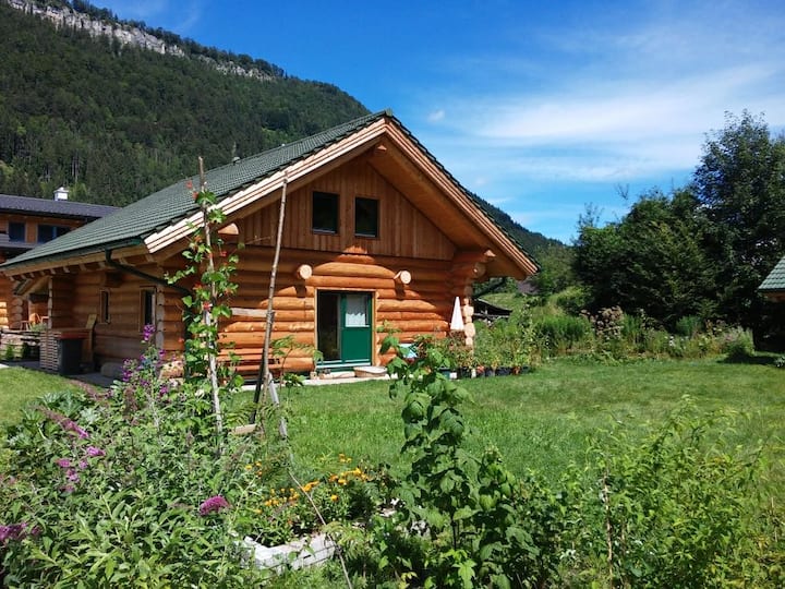 Naturstammhaus - Naturteich - Naturgarten - Lunz am See