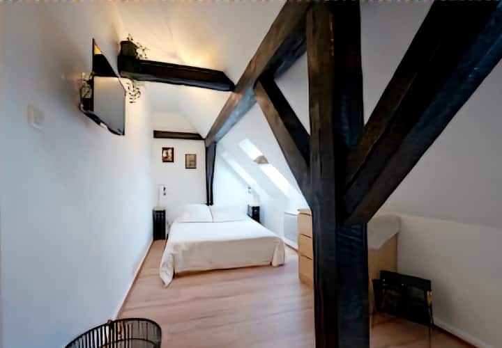 Charmant Studio Sous Les Toits - Vue Cathédrale - Estrasburgo
