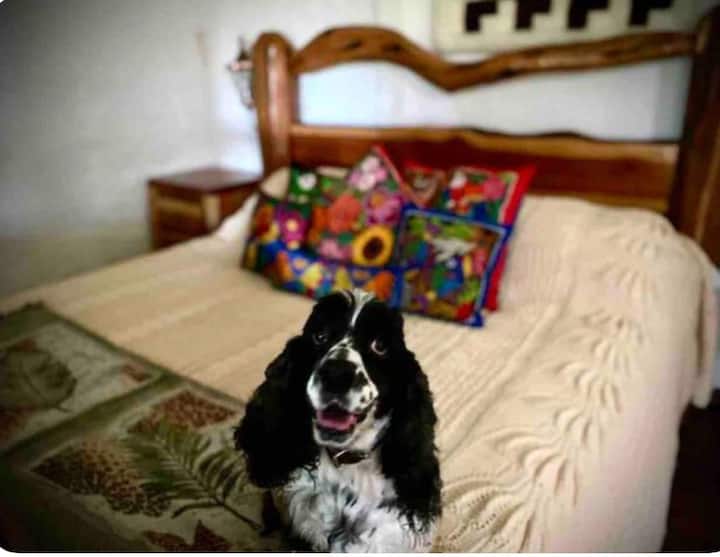 Cabaña El Herradero / Eventos 70pax / 30 Huéspedes - León