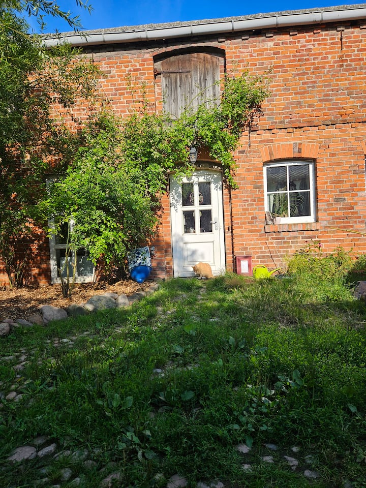 Ferienwohnung, Sternenpark, Hofsauna, Natur, - Neustadt (Dosse)