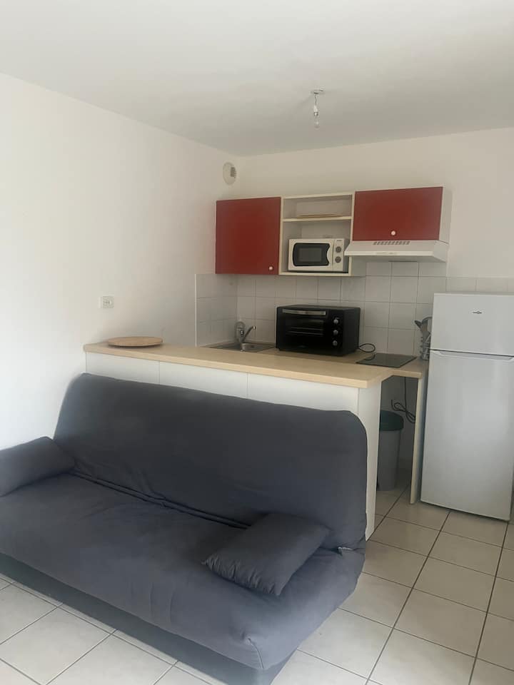 Apparemment Résidence Sécurisée Avec Piscine - La Verpillière