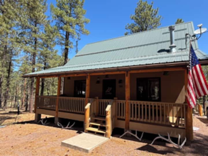 Cozy Coues Cabin Tucked Away In The Tall Pines - Alpine, AZ