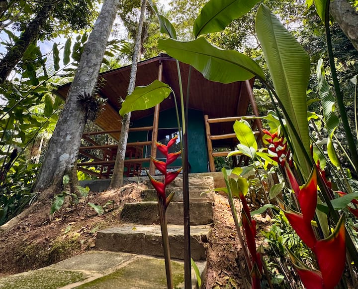 Chalé Da Mata / P. Riacho Trindade - Trindade