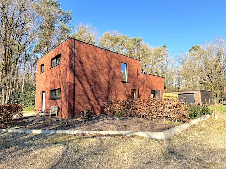 Nature, Calme Et Prairies Pour Chevaux. - As