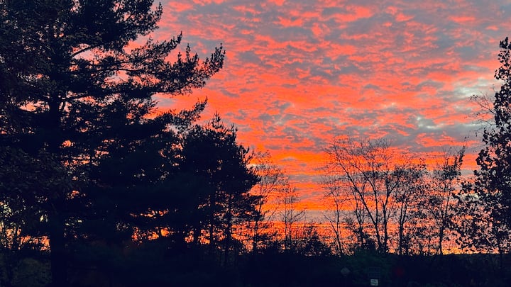 Wooded Nature Retreat Near Il/wi Lakes And Skiing - Fox Lake, IL