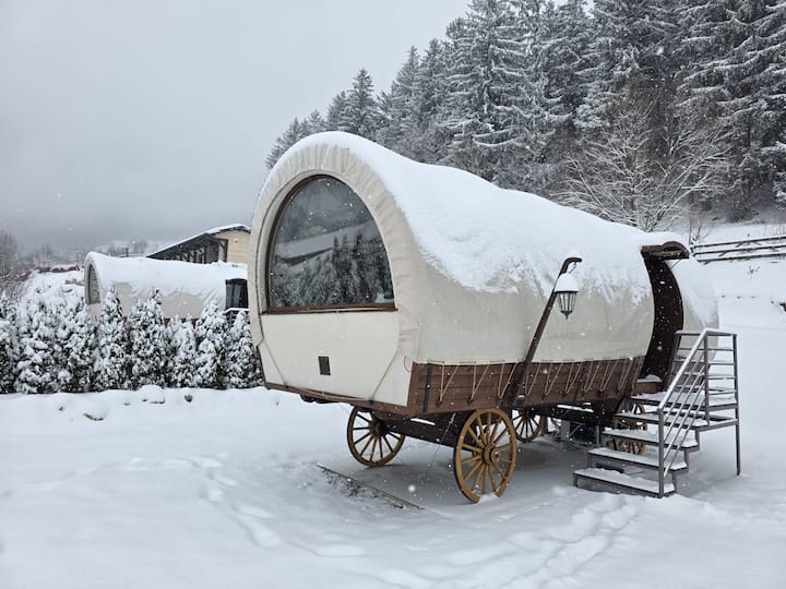 Nomad By Hora Cu Brazi - Bran