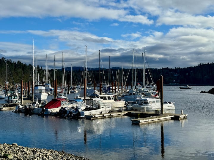 Beachcomber Ocean View 3 Bedrooms House - Parksville