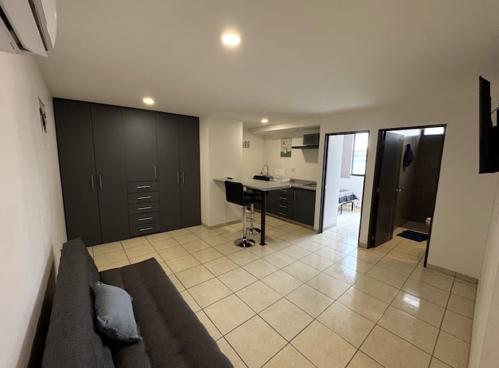 Cómodo Departamento En El Centro De La Ciudad. - Aguascalientes