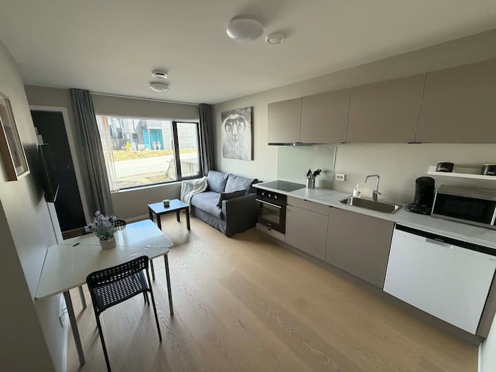 Appartement Proche Zoo, Plage Et Aéroport + Pkg - Kristiansand
