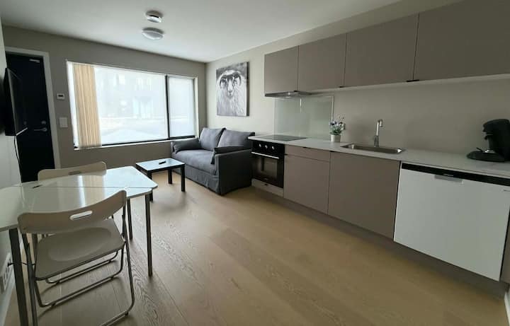 Appartement Proche Zoo, Plage Et Aéroport + Pkg - Kristiansand