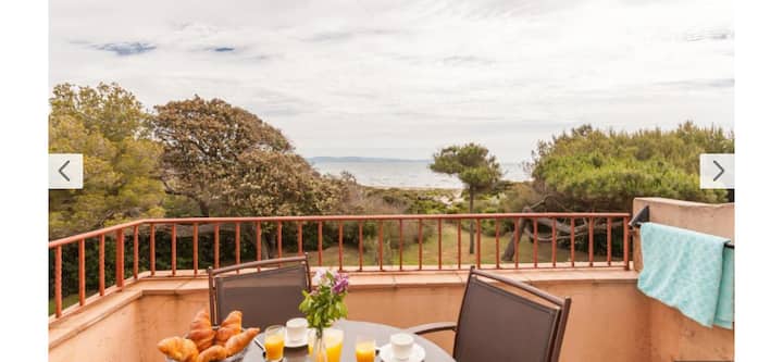 Pieds Dans L’eau - Île de Porquerolles