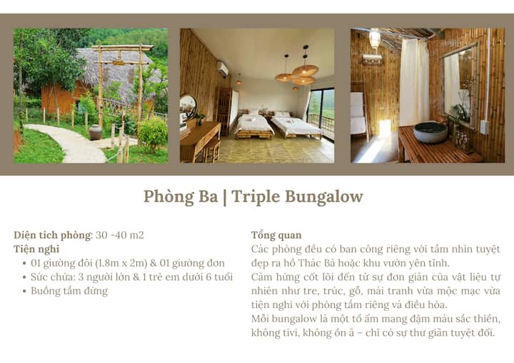 Phòng Ba ( Tripple Bungalow) - Vũ Linh