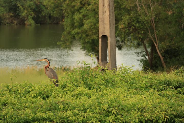 Peaceful Rustic Home Ideal For Writers' Long Stays - Sri Lanka