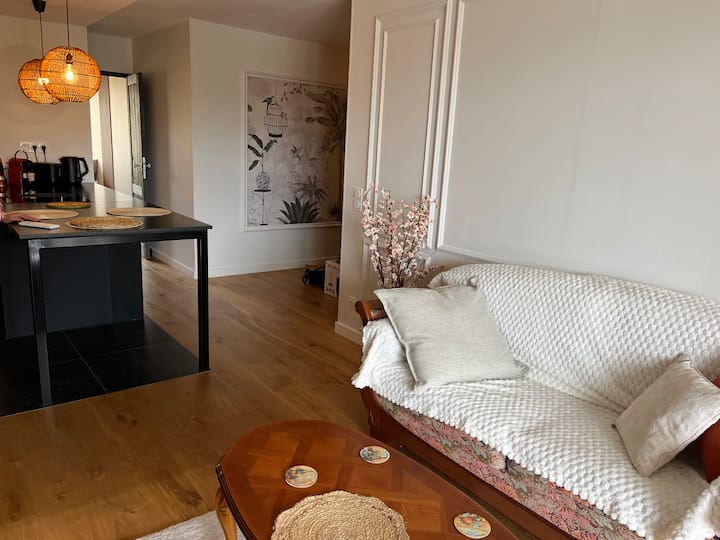 Beau T2, Centre La Teste Proche Bassin Arcachon - Cap Ferret