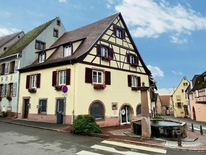 Gîte "Le Marronnier" Au Cœur Du Vignoble Alsacien - Rouffach