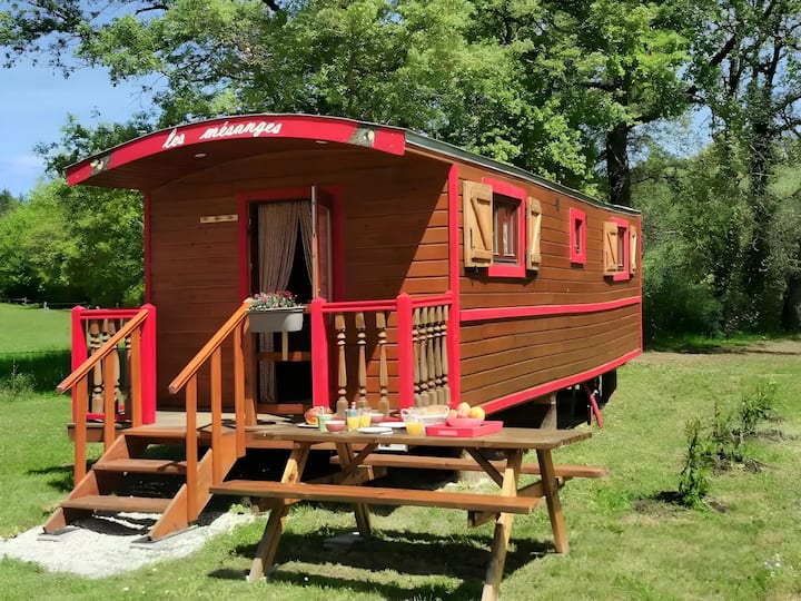 Roulotte Les Mésanges · Glamping · Ferme Ariège - Mirepoix