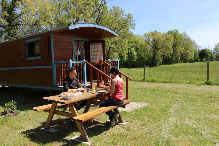 Roulotte Hirondelles · Glamping · Ferme Ariège - Mirepoix
