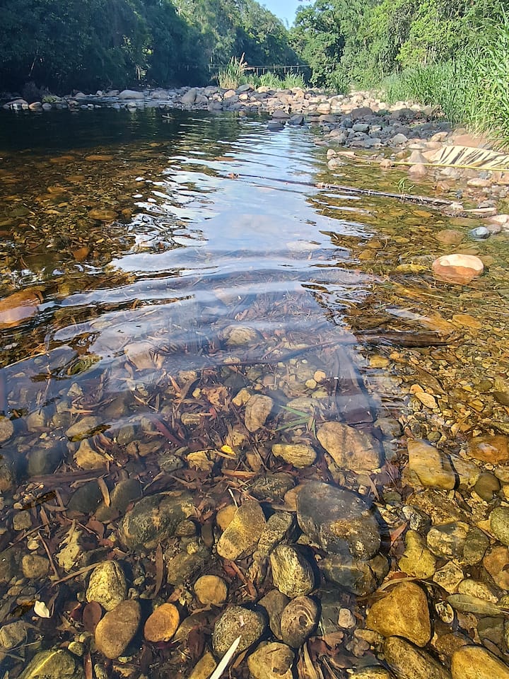 Refúgio Autônomo Para 5 No Ecolodge Em Morretes - Morretes